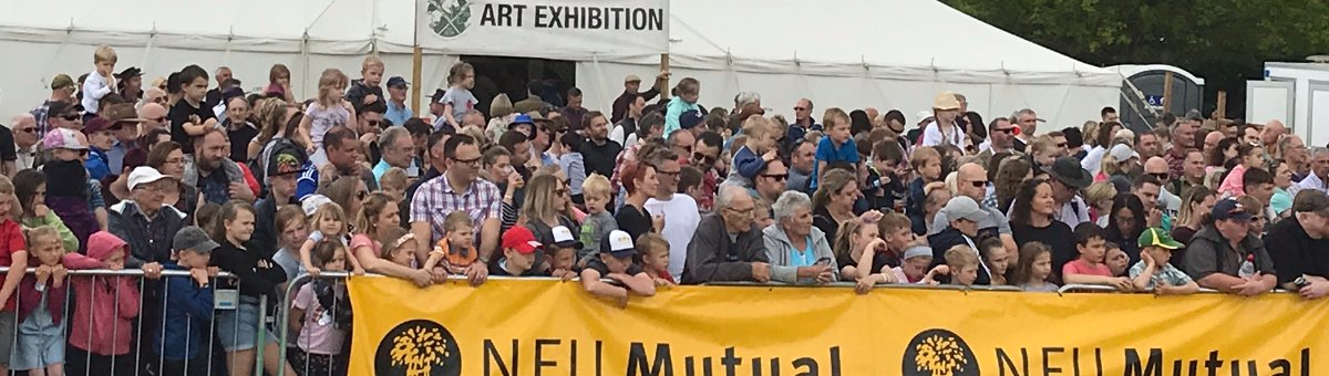 Hadleigh Show, Suffolk - Belted Galloway