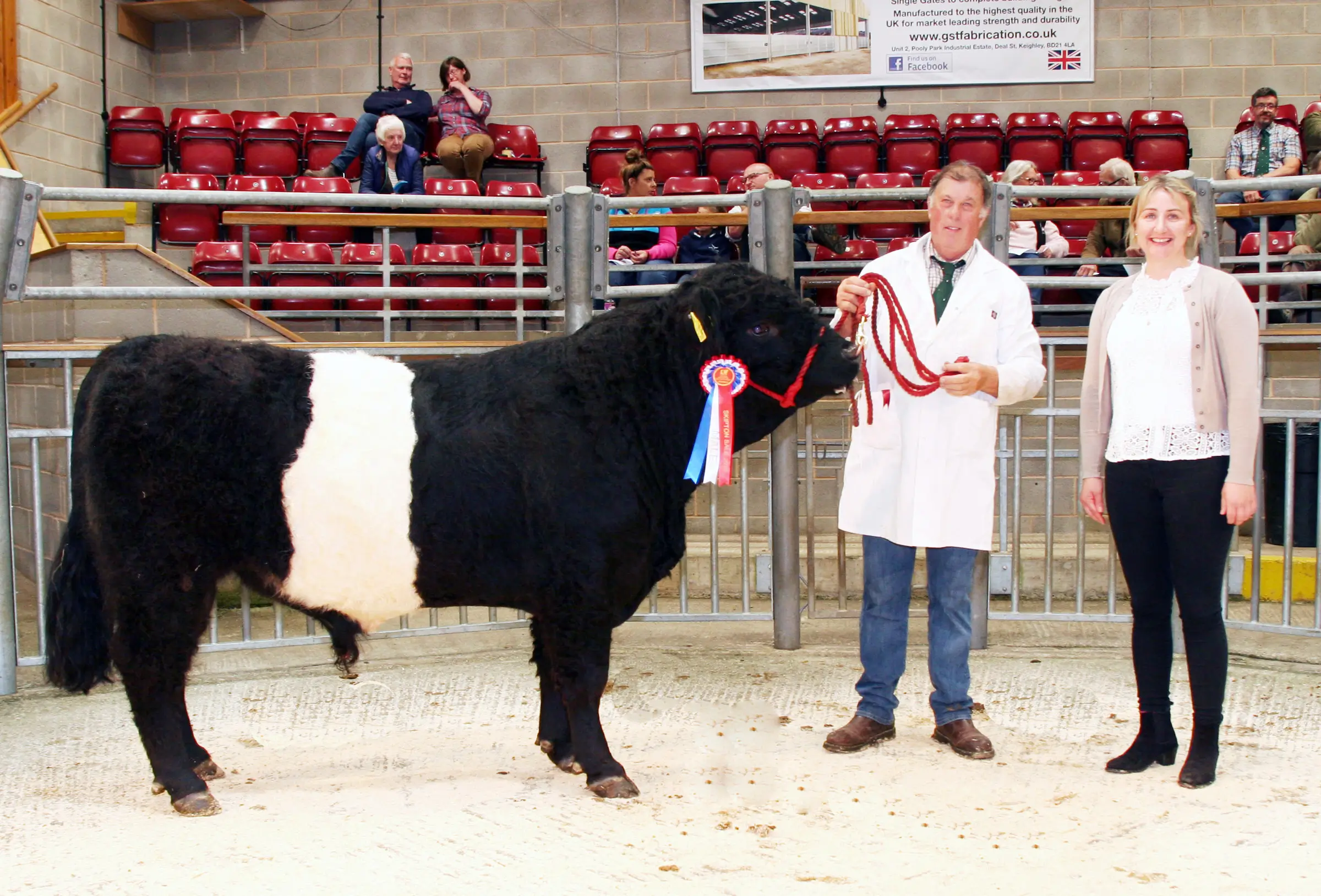Rebanks Racy Ghyll herd races to 6200gns top at CCM Skipton Belted ...